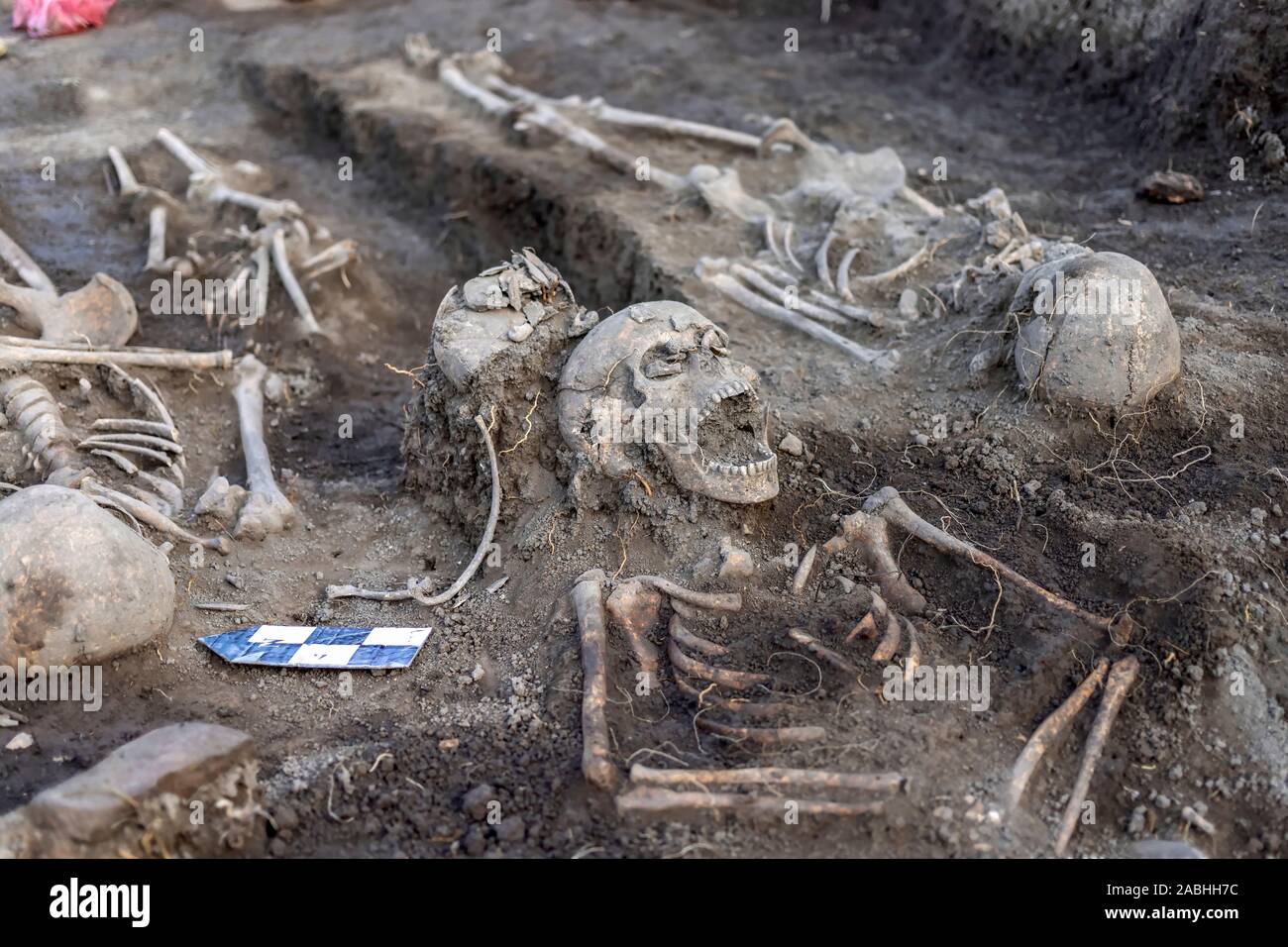 Serbia, September 27, 2019: Human remains from the Roman period ...