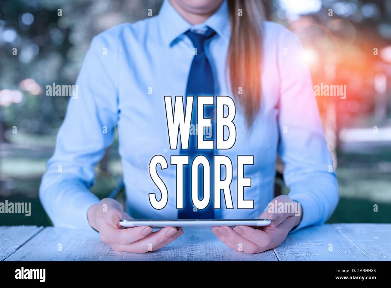 Writing note showing Web Store. Business concept for consumers directly ...
