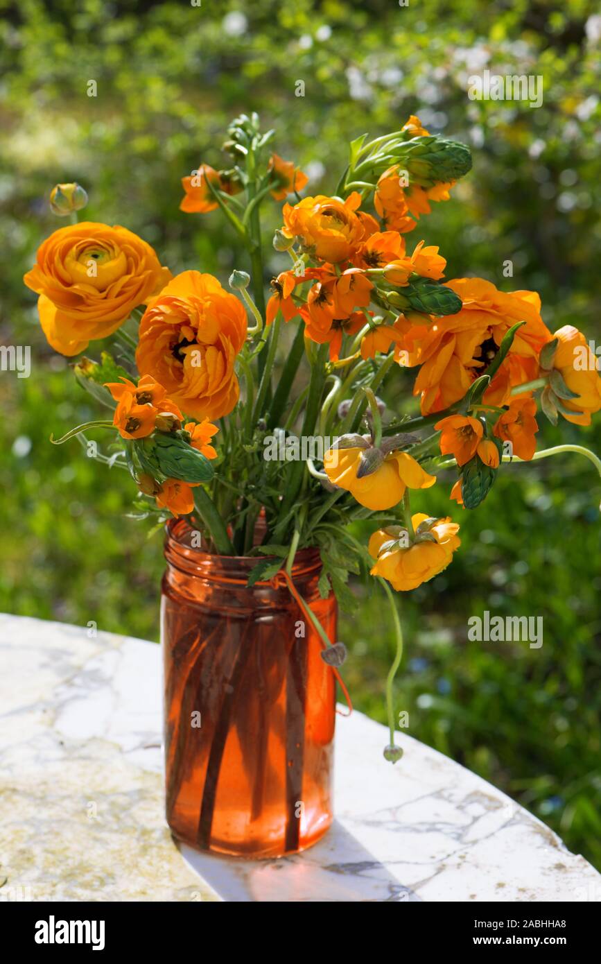 Ranunculus flower bouquet in a garden Stock Photo - Alamy