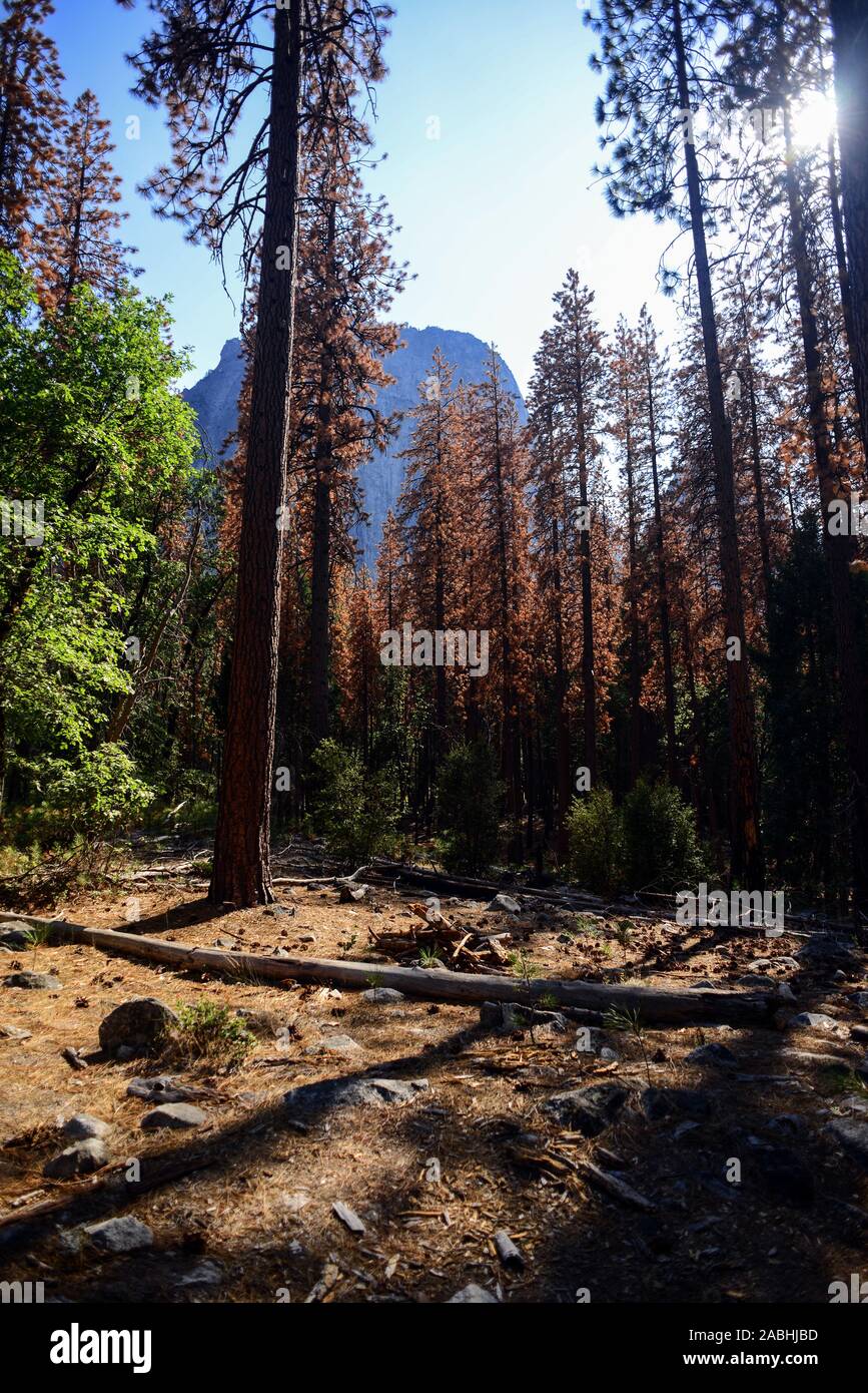 El Capitan, also known as El Cap, a vertical rock formation in Yosemite ...