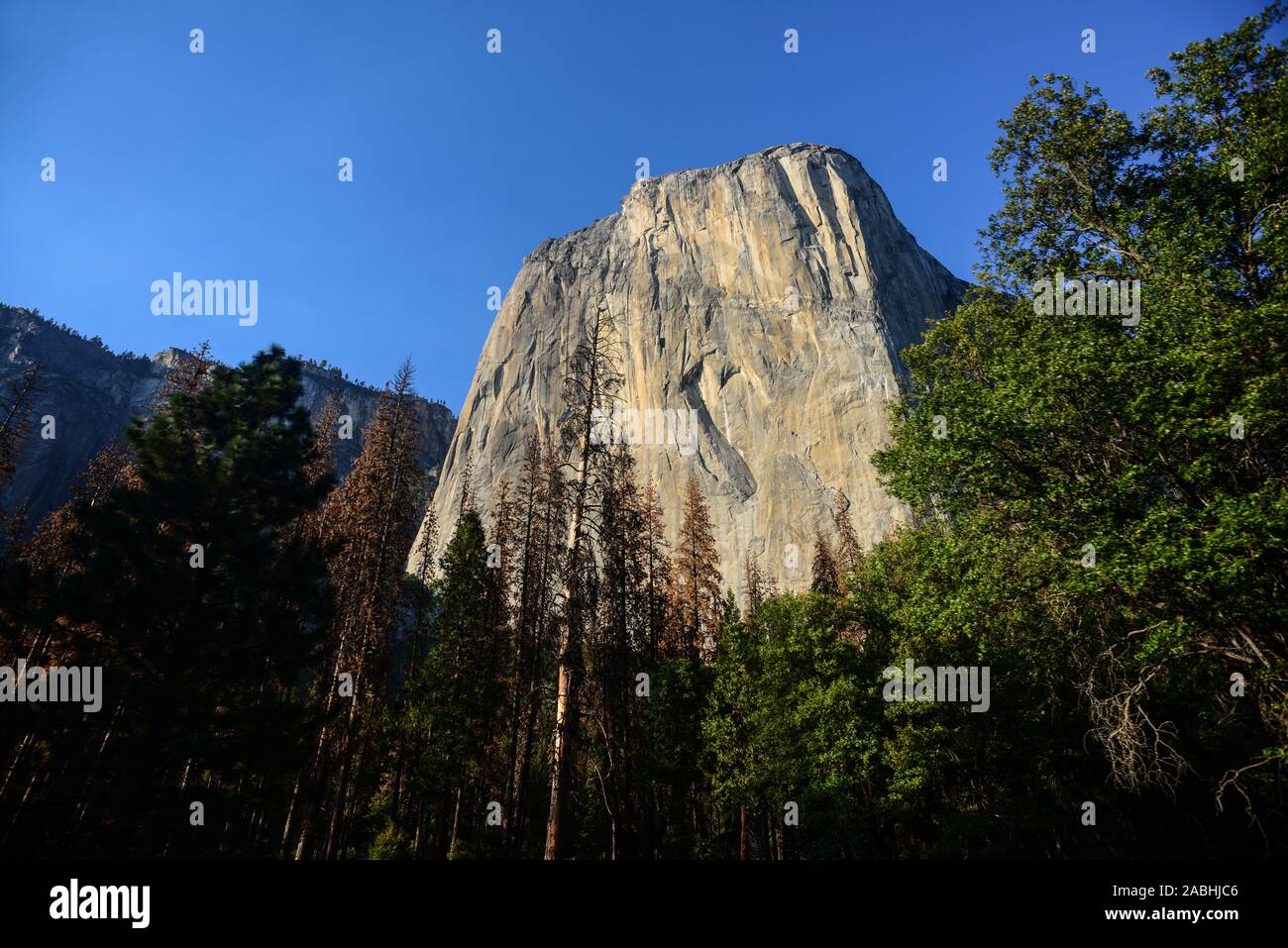 El Capitan, also known as El Cap, a vertical rock formation in Yosemite ...