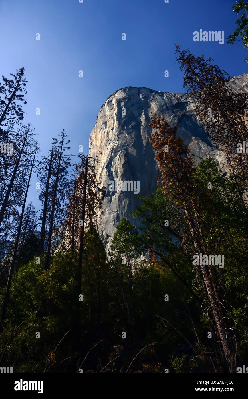 El Capitan, also known as El Cap, a vertical rock formation in Yosemite ...