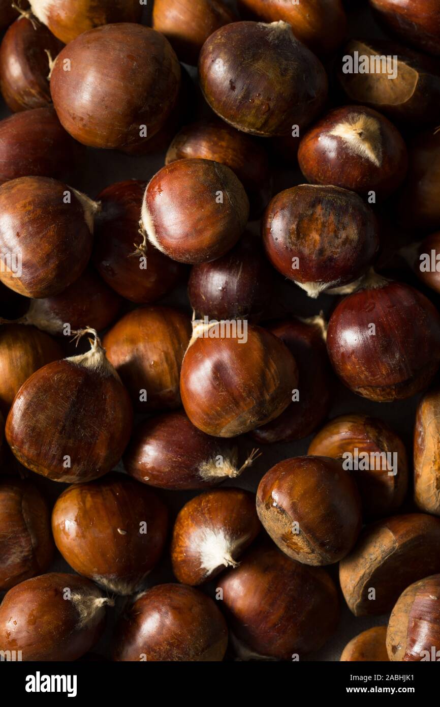 Raw Organic Brown Chestnuts Ready to Roast Stock Photo - Alamy