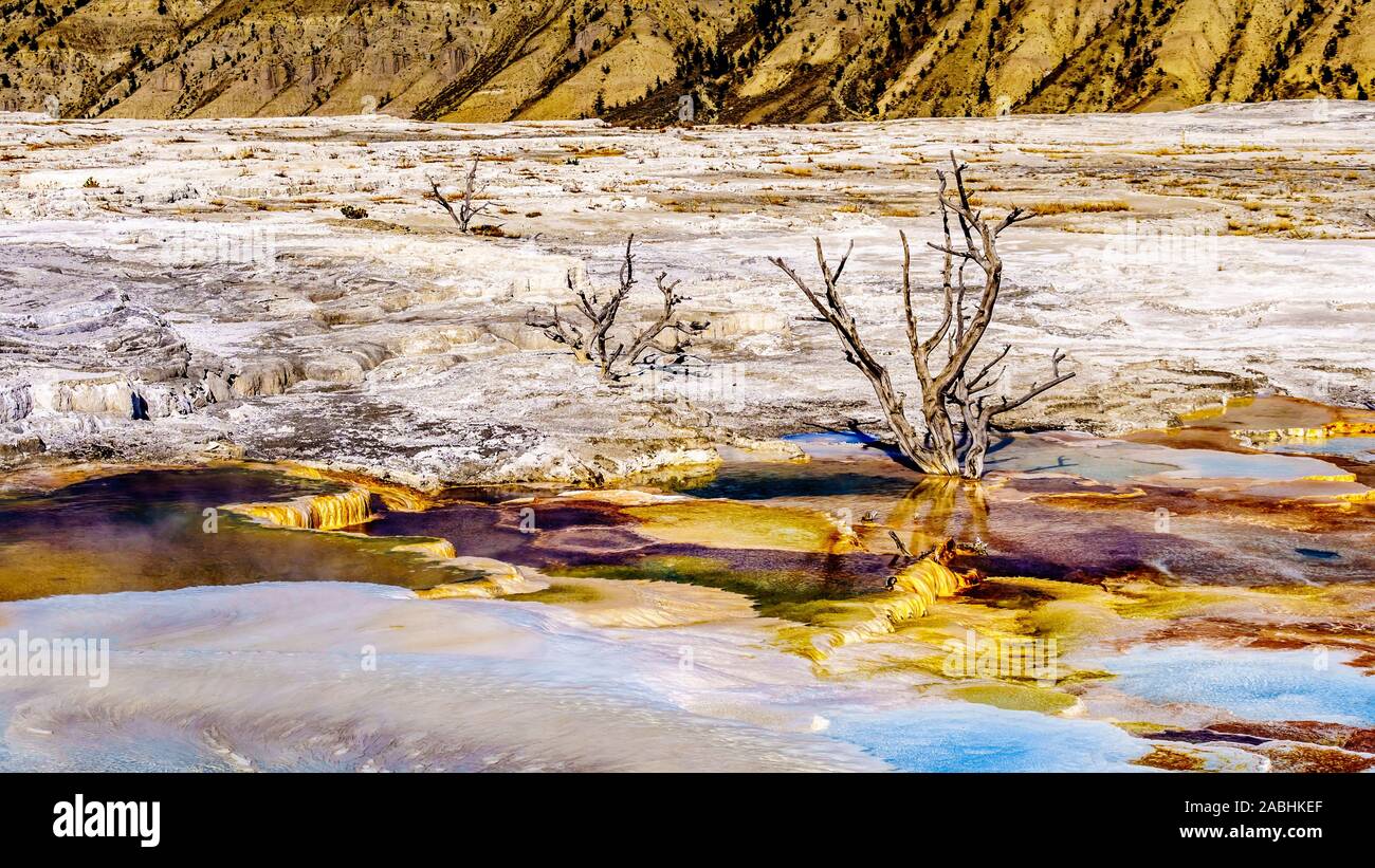 Mammoth springs in yellowstone hi-res stock photography and images - Alamy