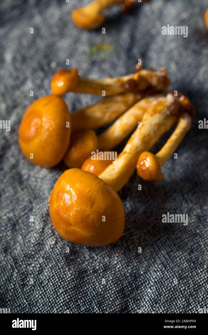 Nameko Mushrooms High Resolution Stock Photography and Images - Alamy