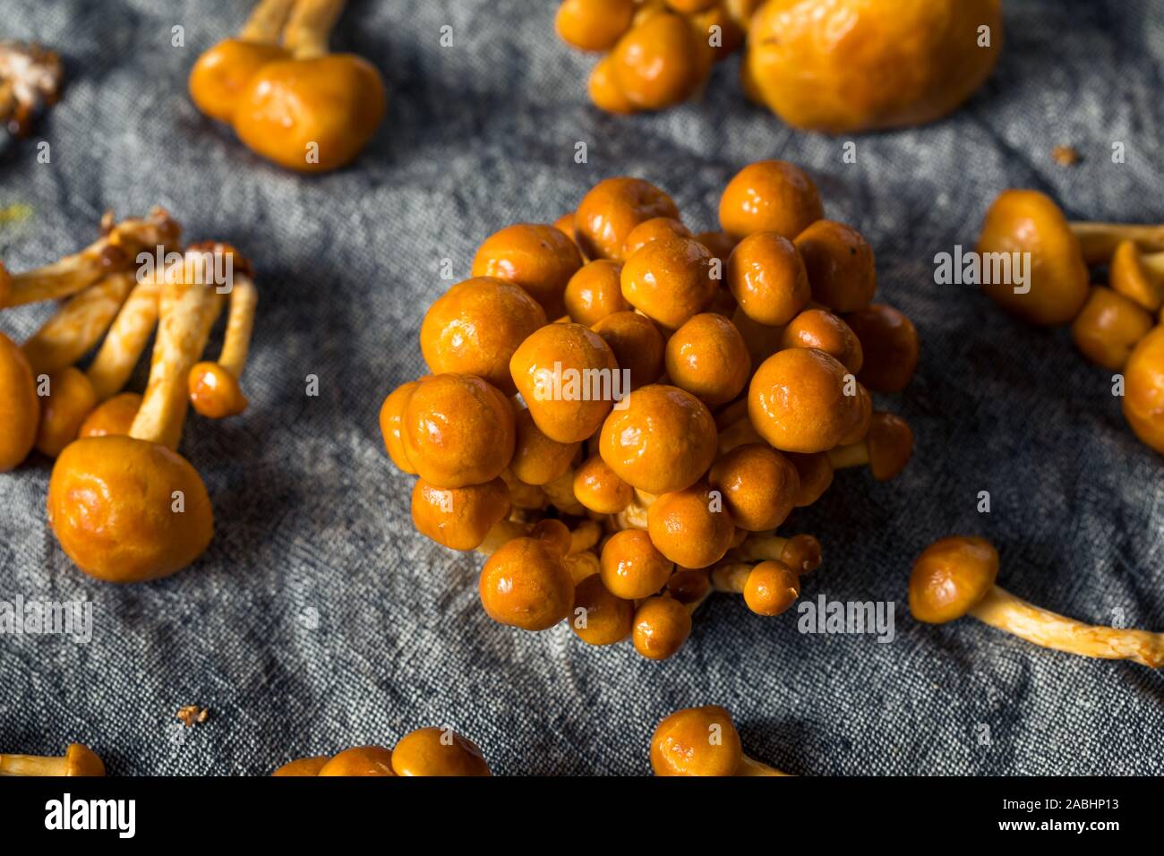 Raw Organic Japanese Nameko Mushrooms in a Bunch Stock Photo - Alamy