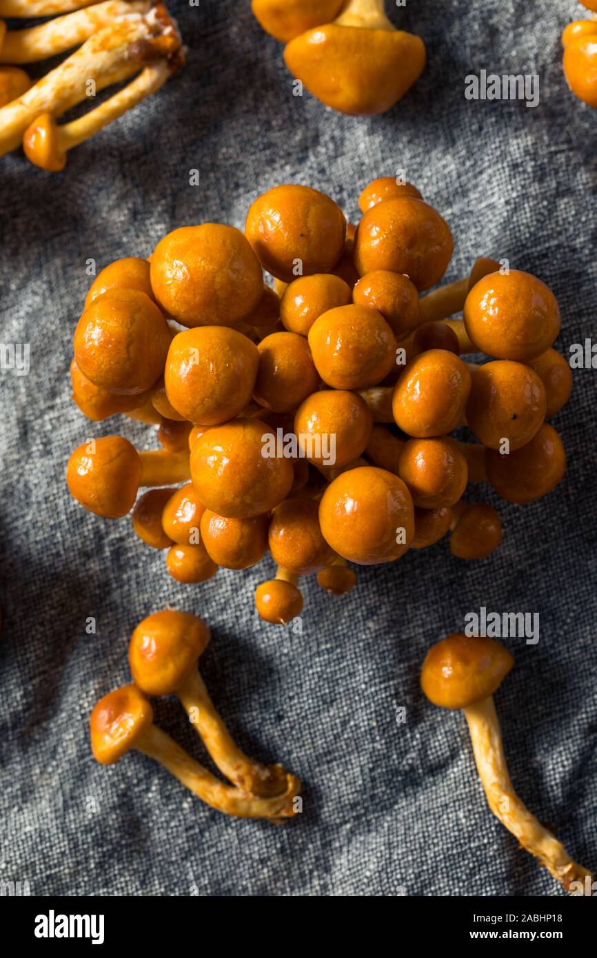 Raw Organic Japanese Nameko Mushrooms in a Bunch Stock Photo - Alamy