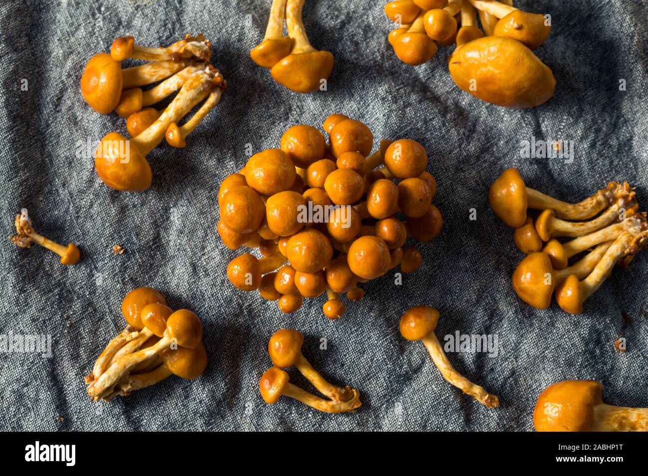 Raw Organic Japanese Nameko Mushrooms in a Bunch Stock Photo - Alamy