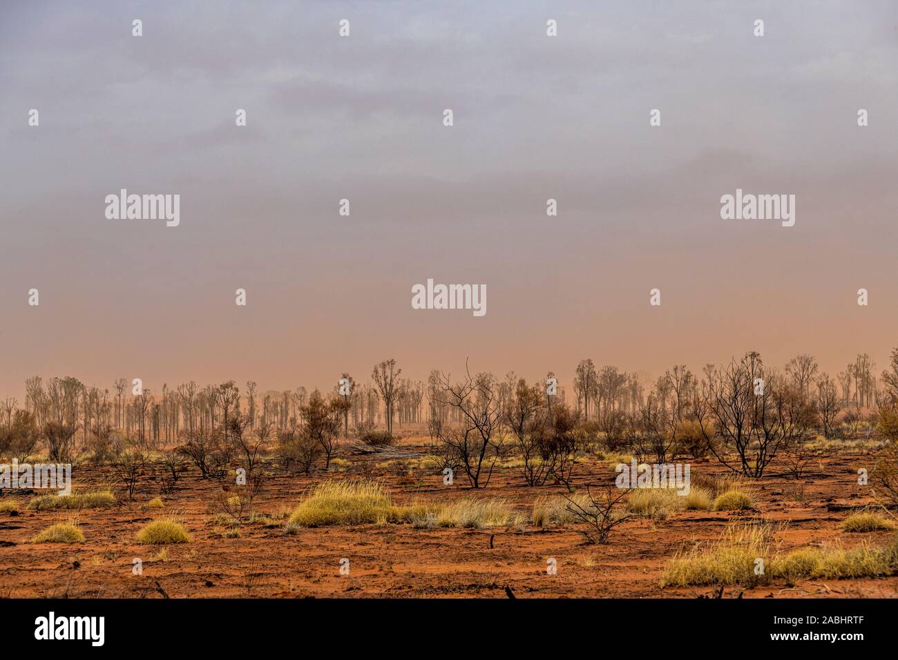 Duststorm in outback Australia after bushfires in the area Stock Photo ...