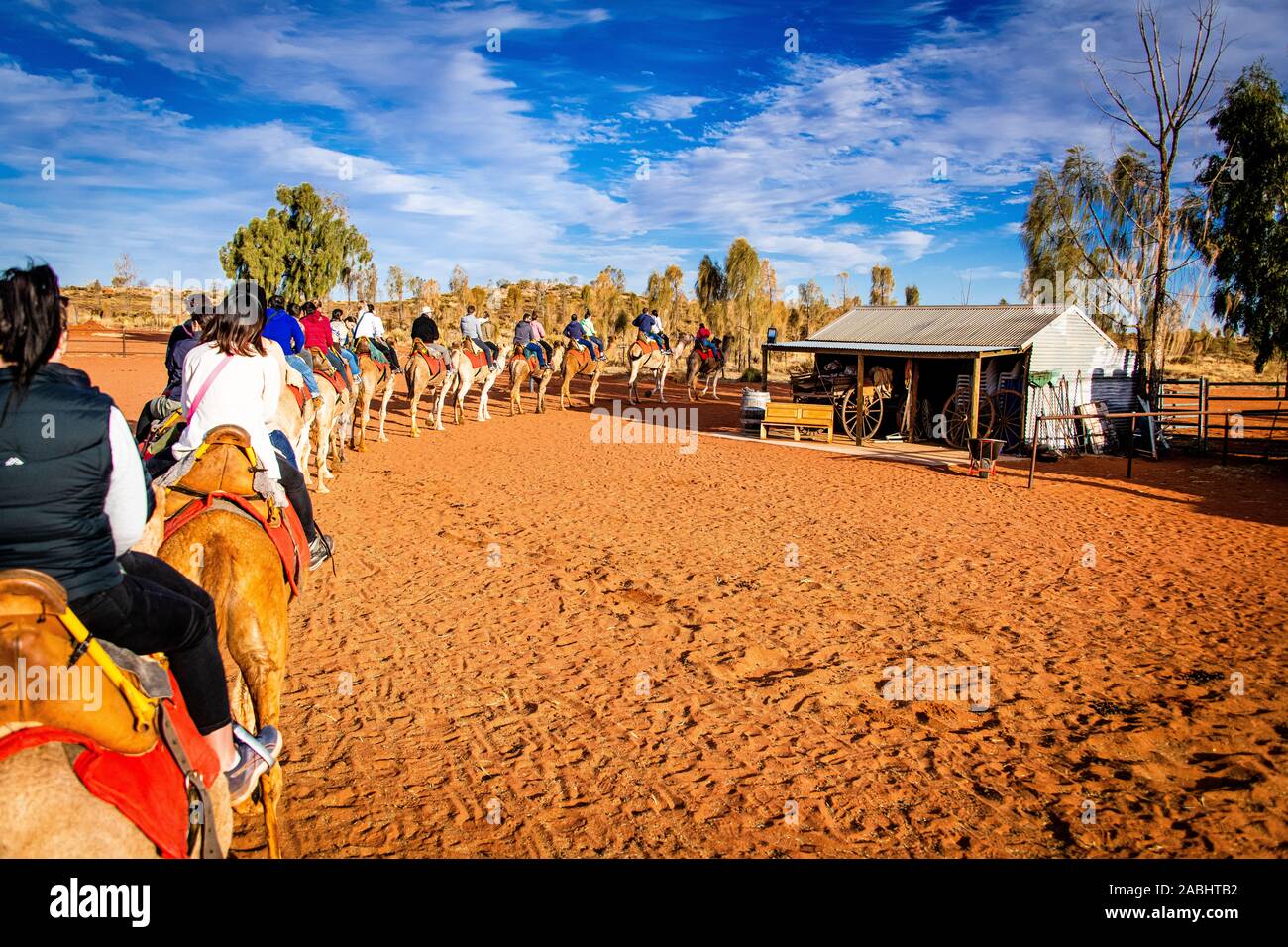Tourists ride camels in the Australian outback sunset camel tour ...