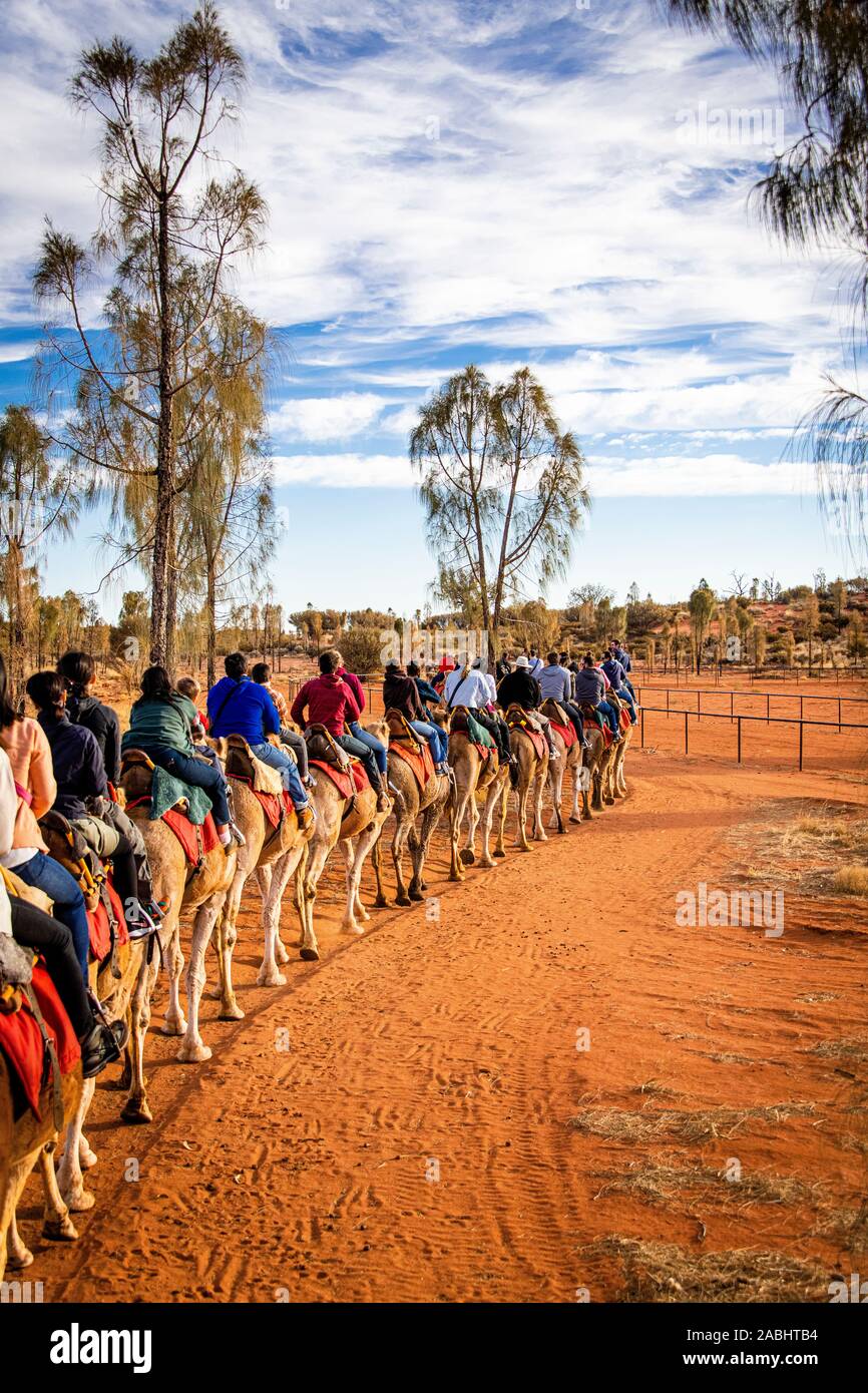 Tourists ride camels in the Australian outback sunset camel tour ...
