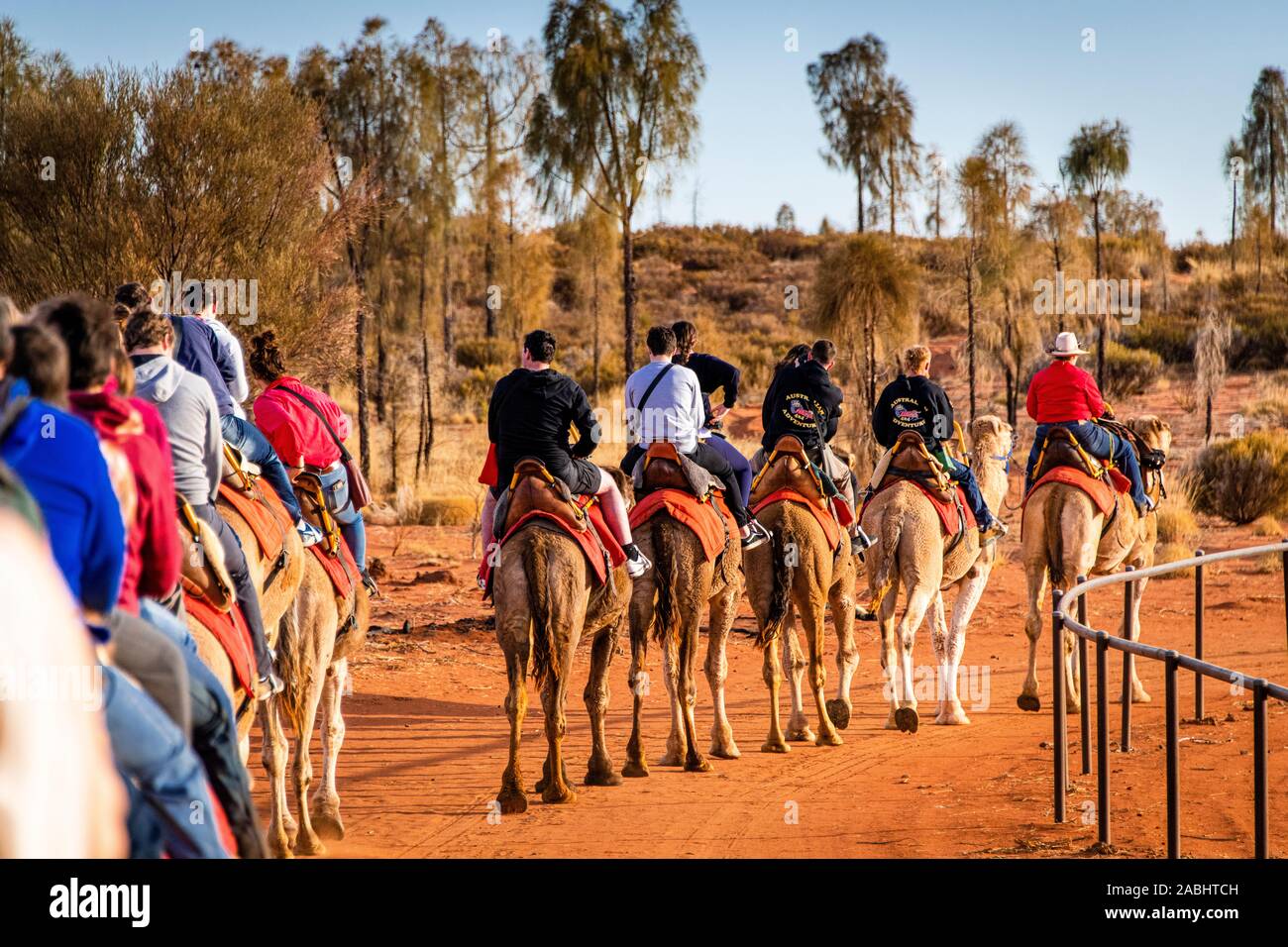Tourists ride camels in the Australian outback sunset camel tour ...