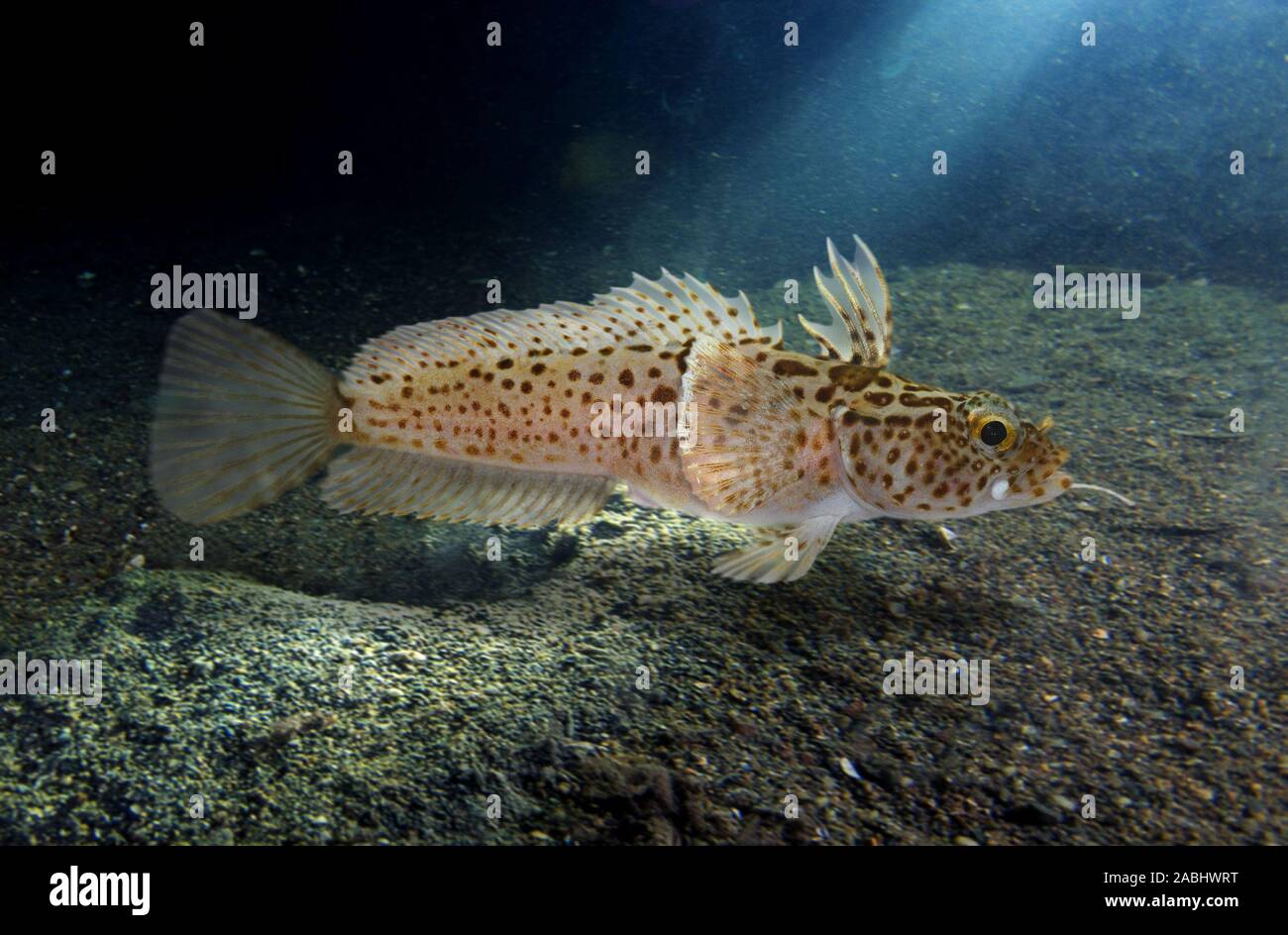 Ross Ice Shelf High Resolution Stock Photography and Images - Alamy