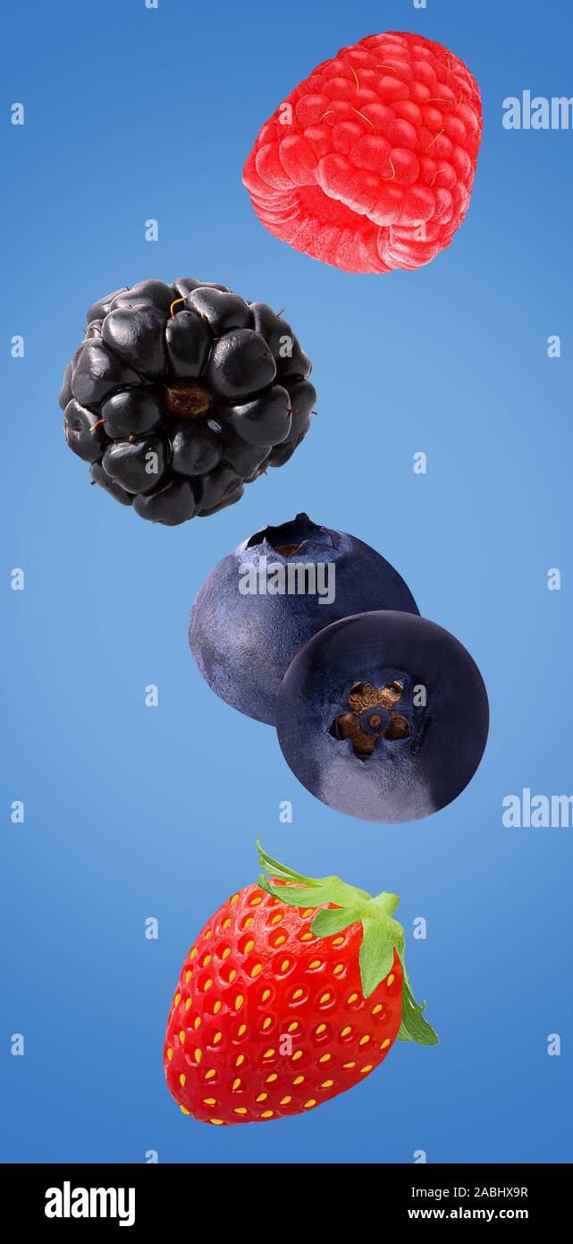 Floating berry fruits isolated on light blue background Stock Photo - Alamy