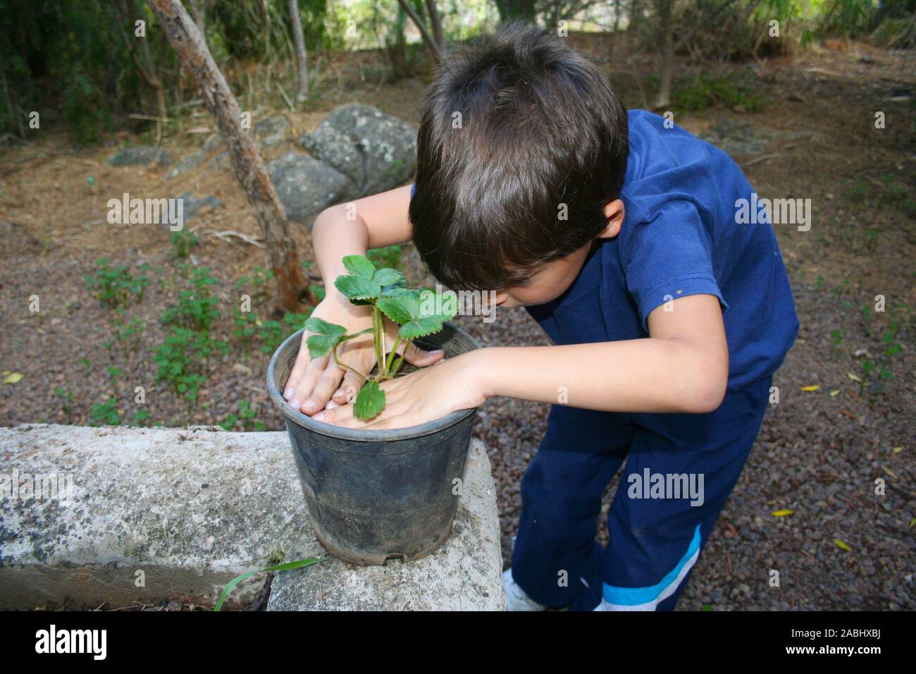 Child trying to do his work properly Stock Photo - Alamy