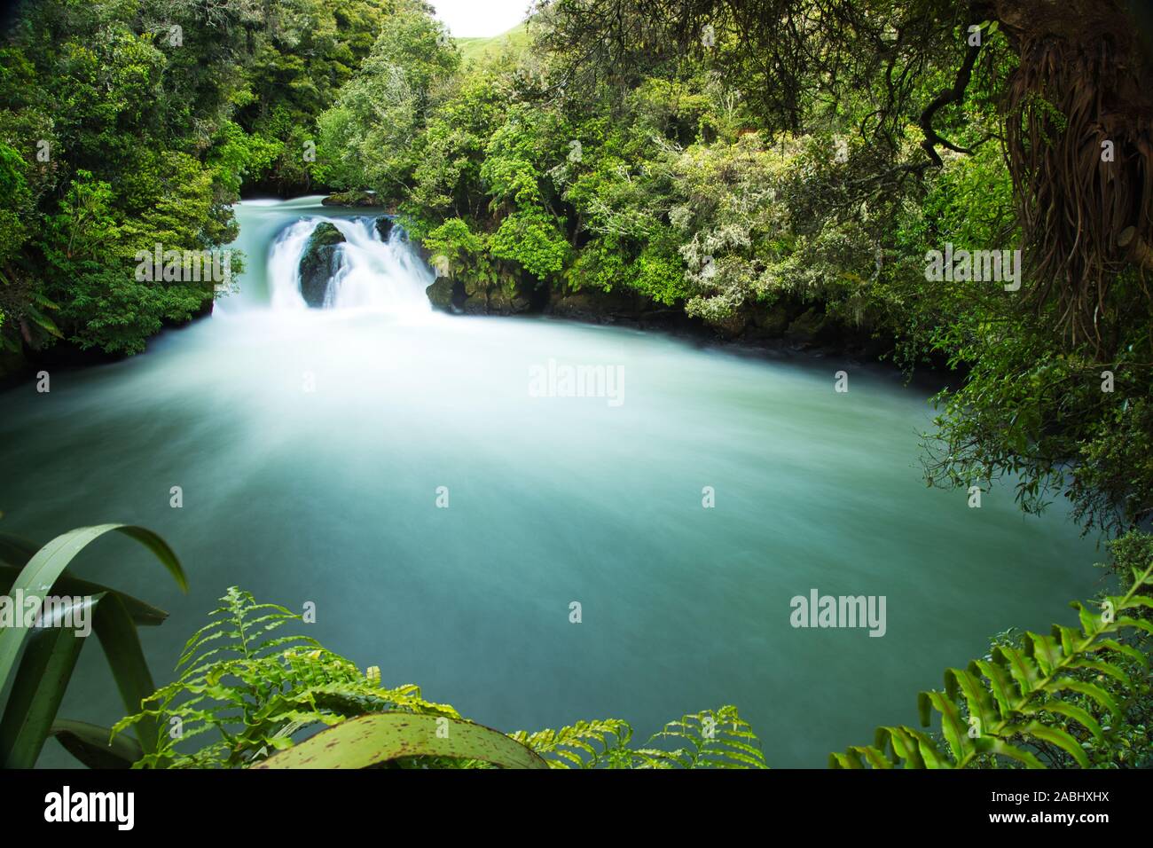 Tutea hi-res stock photography and images - Alamy