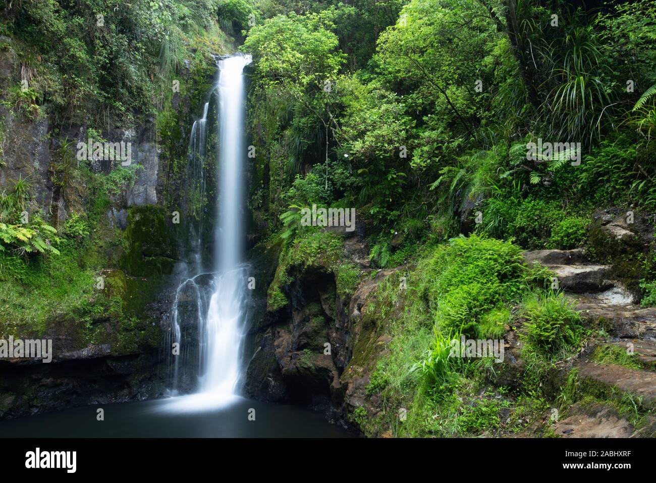 Beautiful Green Kaiate Falls, New Zealand Stock Photo - Alamy