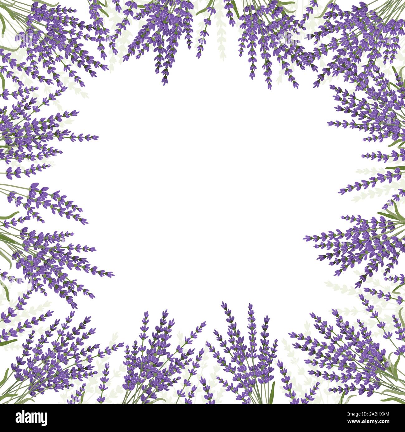 Lavender flower design background frame. Vector illustration Stock ...