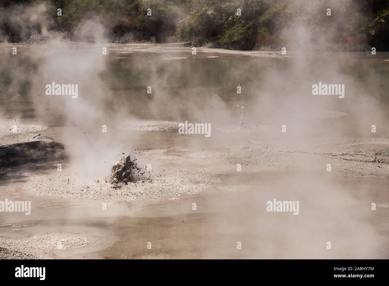 Mud Pool at Wai-O-Tapu Geothermal Area near Rotorua, New Zealand Stock ...