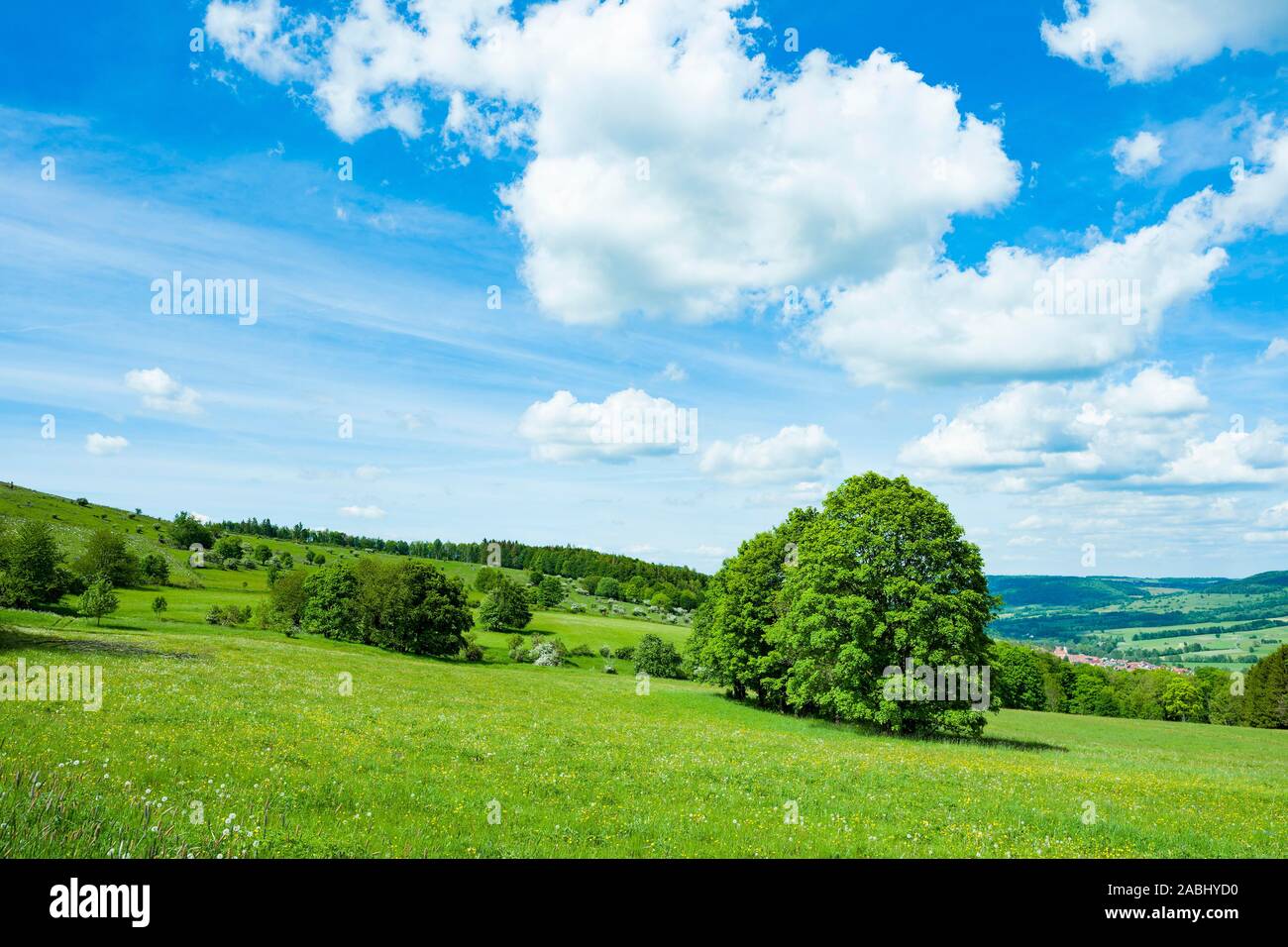 Wustensachsen High Resolution Stock Photography and Images - Alamy