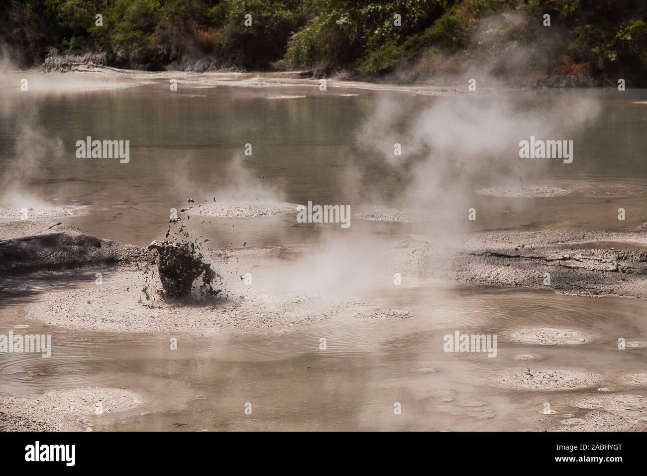 Mud Pool at Wai-O-Tapu Geothermal Area near Rotorua, New Zealand Stock ...