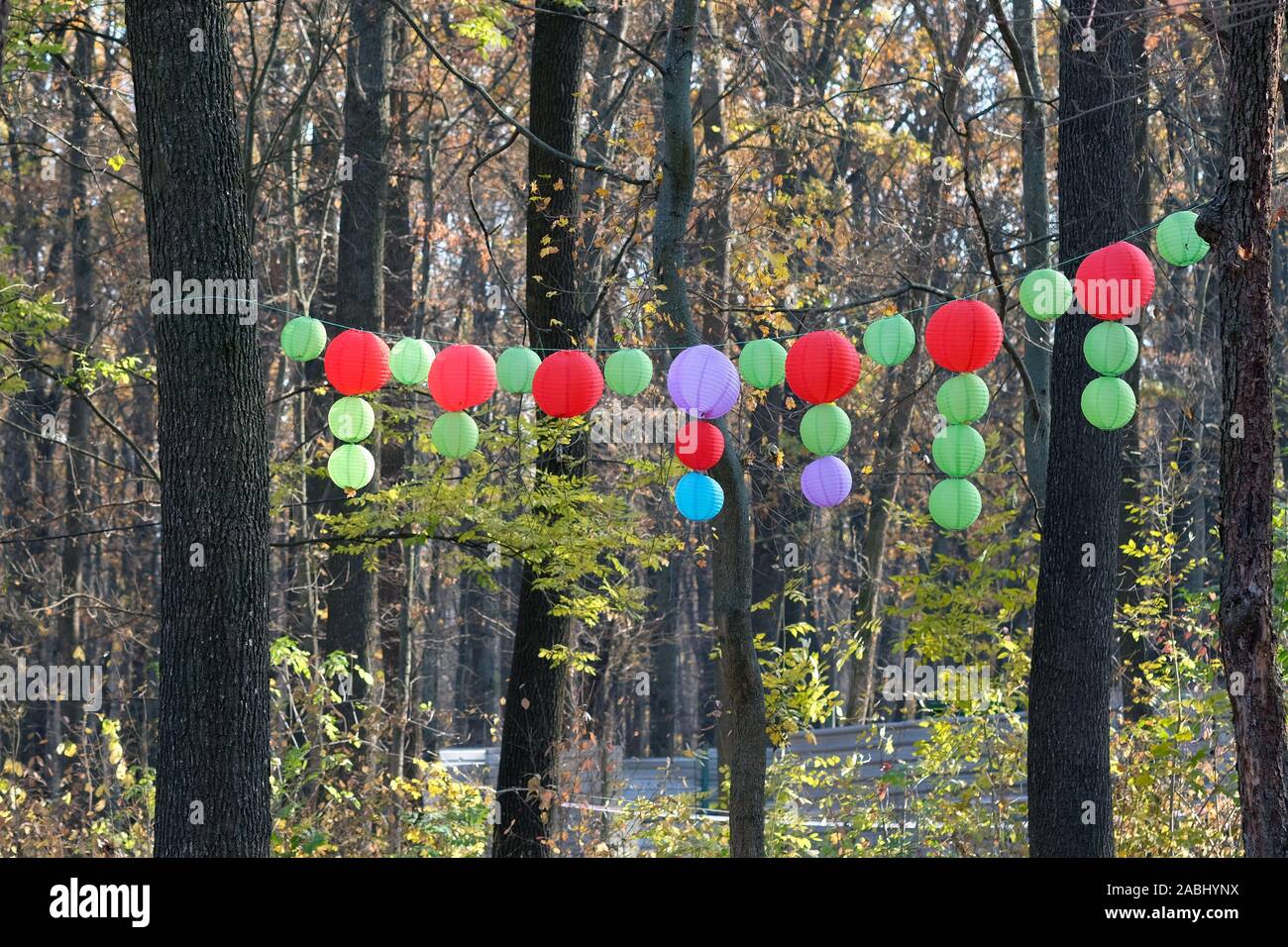 Paper Lanterns Hanging From Trees