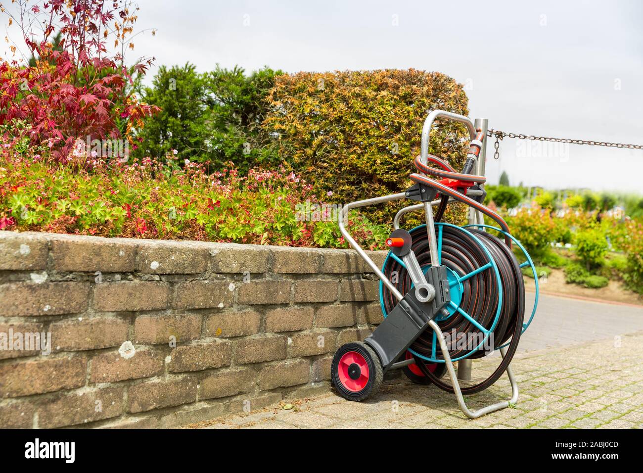 Hose trolley for watering plants or garden Stock Photo - Alamy