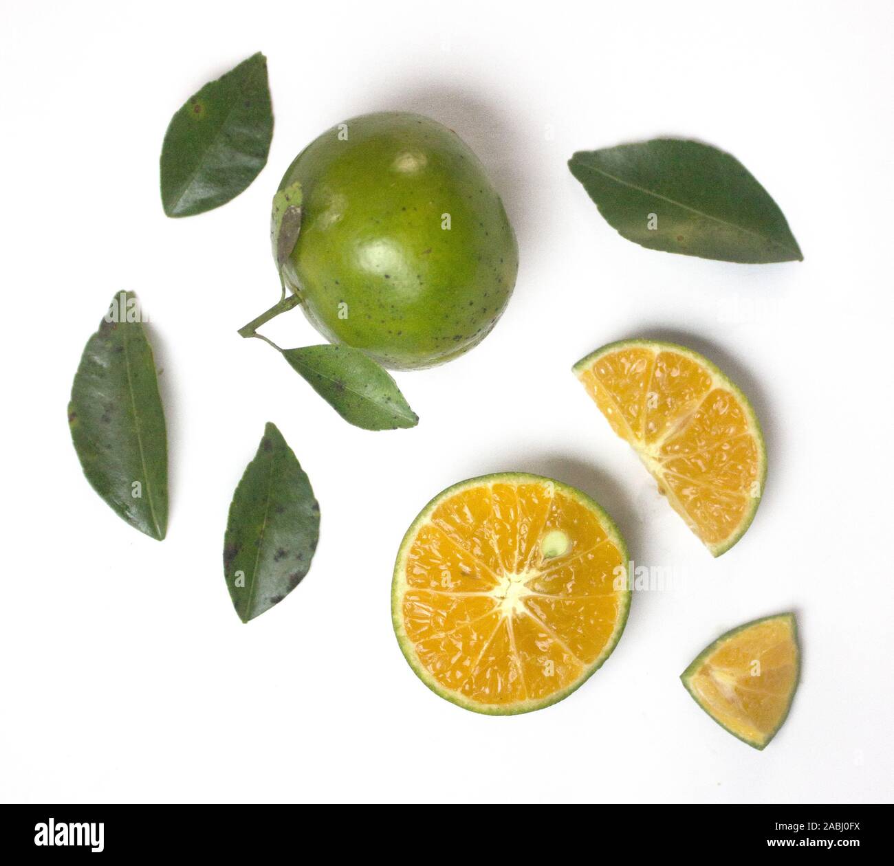 Group of fresh green citrus fruits and their leaves which have orange ...