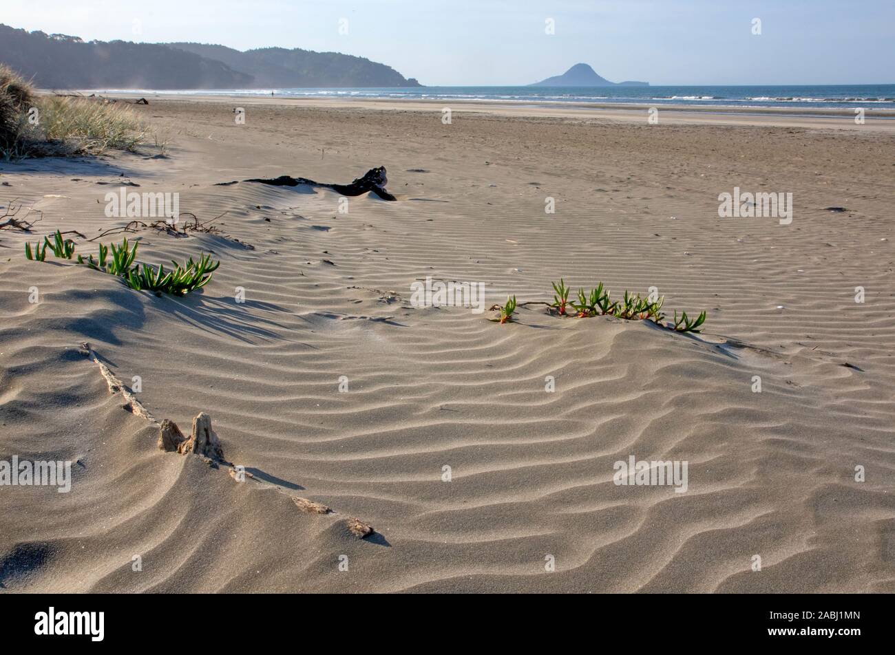 Ohope new zealand hi-res stock photography and images - Alamy