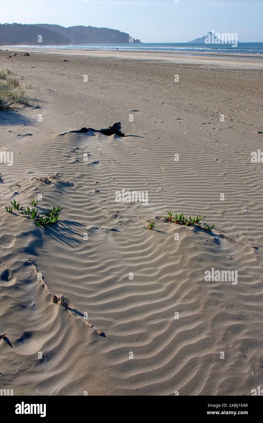 Ohope beach hi-res stock photography and images - Alamy