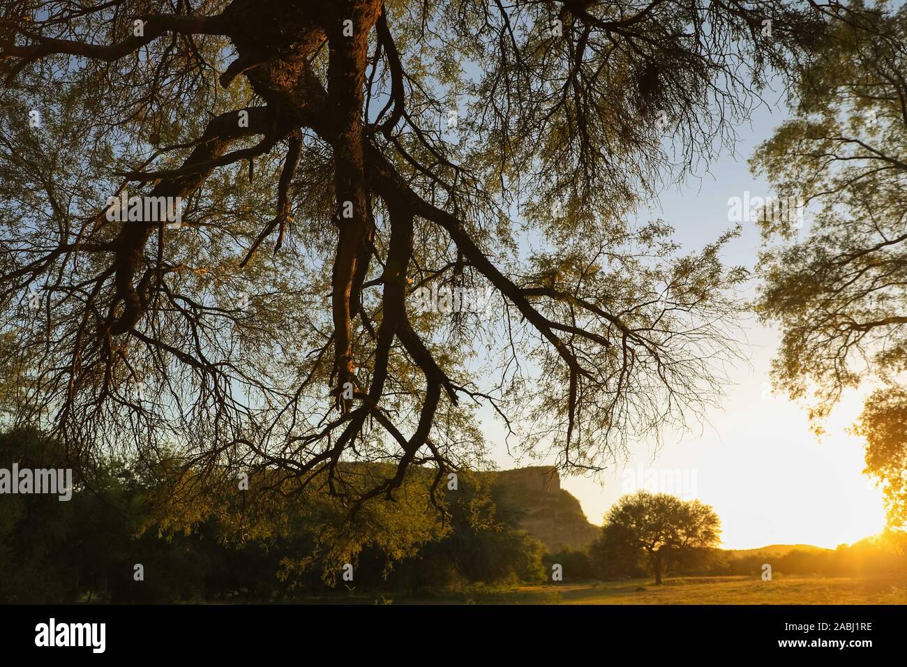 Cadena de madera hi-res stock photography and images - Alamy