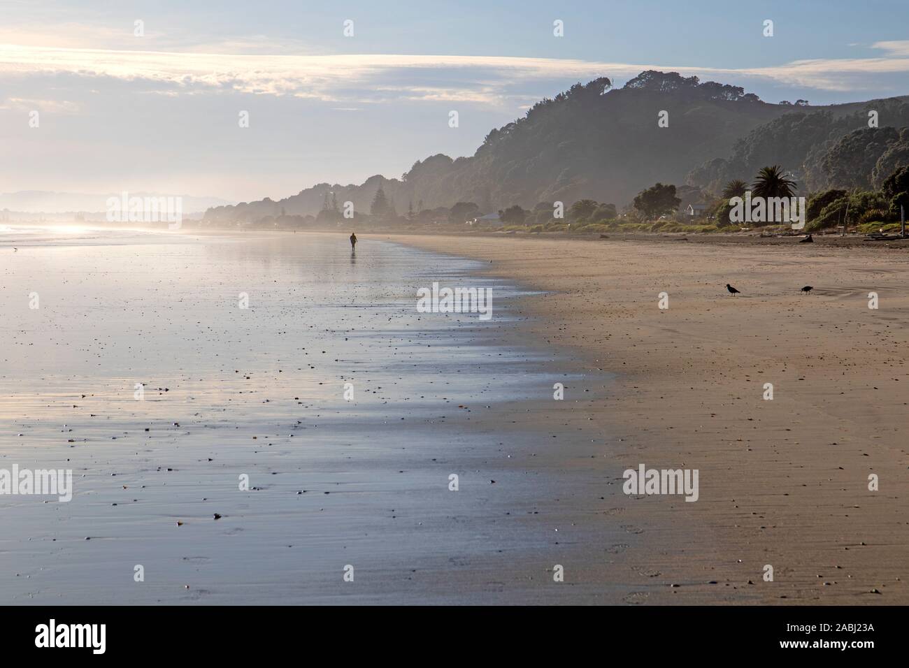 Ohope beach bay north plenty island new hi-res stock photography and ...