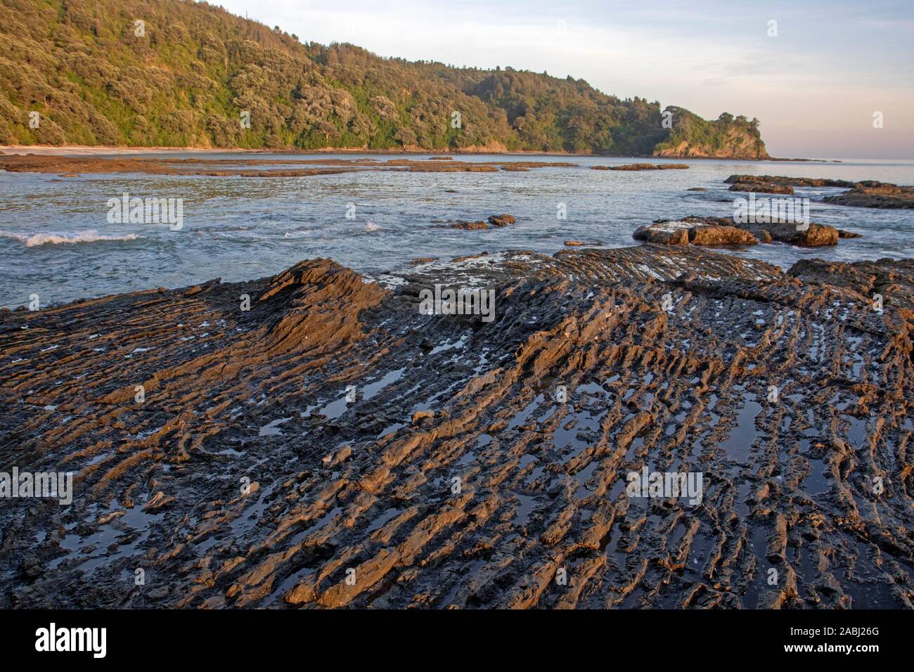 Otarawairere bay hi-res stock photography and images - Alamy