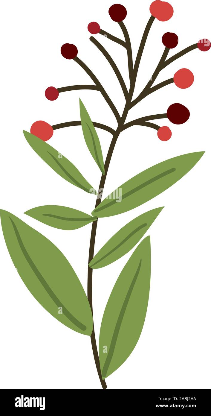 Isolated winter flower vector design Stock Vector Image & Art - Alamy