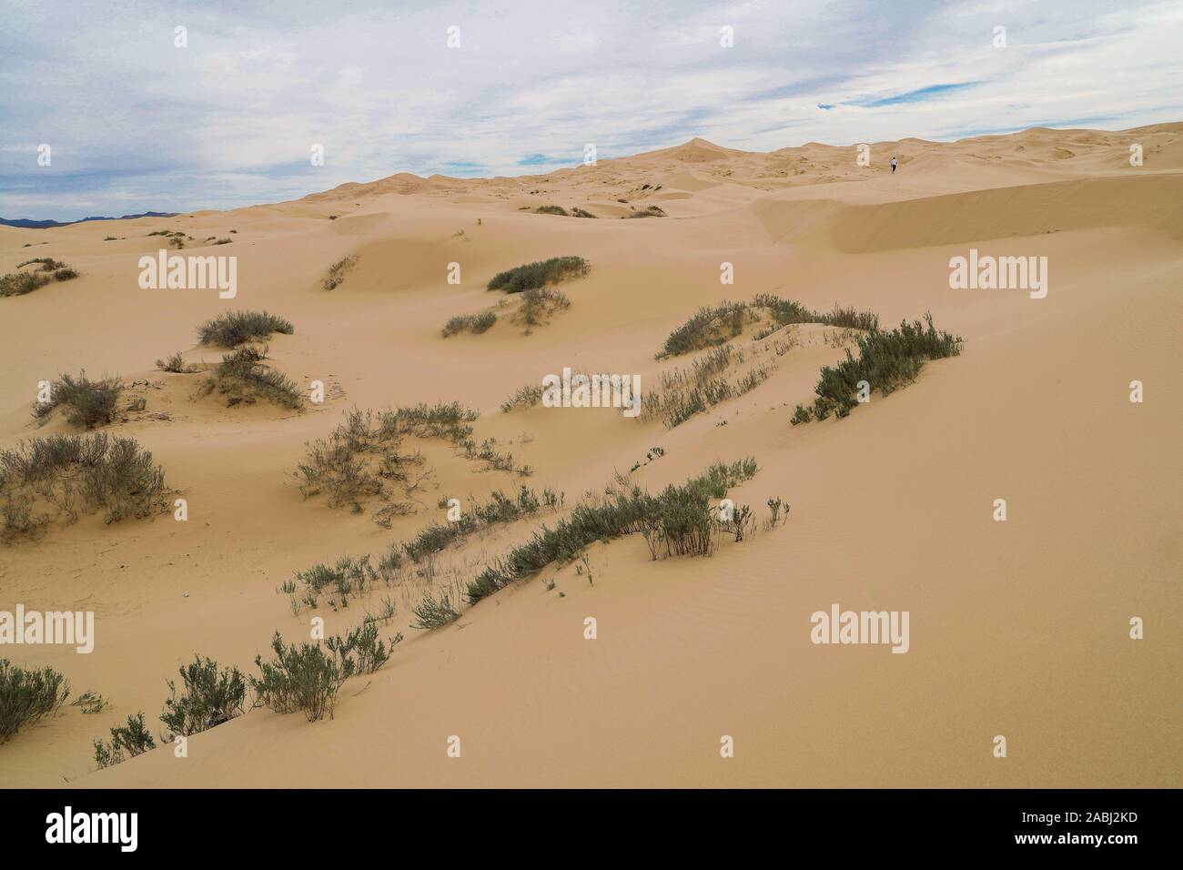 sand dunes of the Samalayuca desert, Chihuahua Mexico. 52 km south of ...