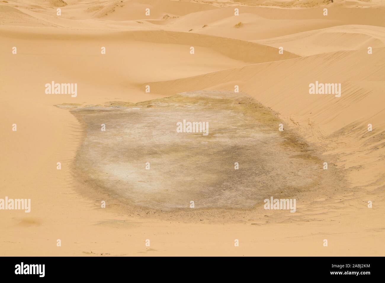 sand dunes of the Samalayuca desert, Chihuahua Mexico. 52 km south of ...