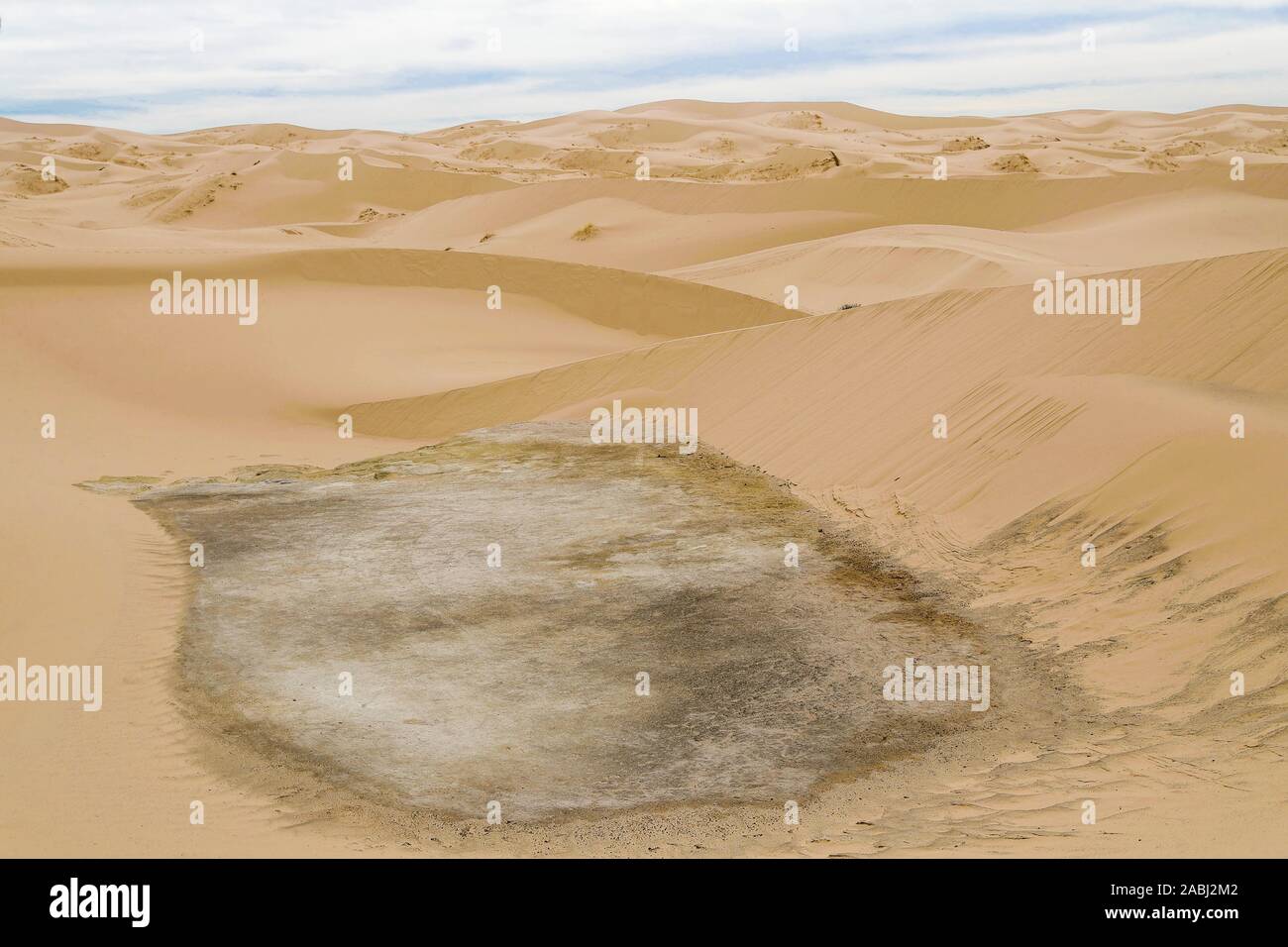 sand dunes of the Samalayuca desert, Chihuahua Mexico. 52 km south of ...