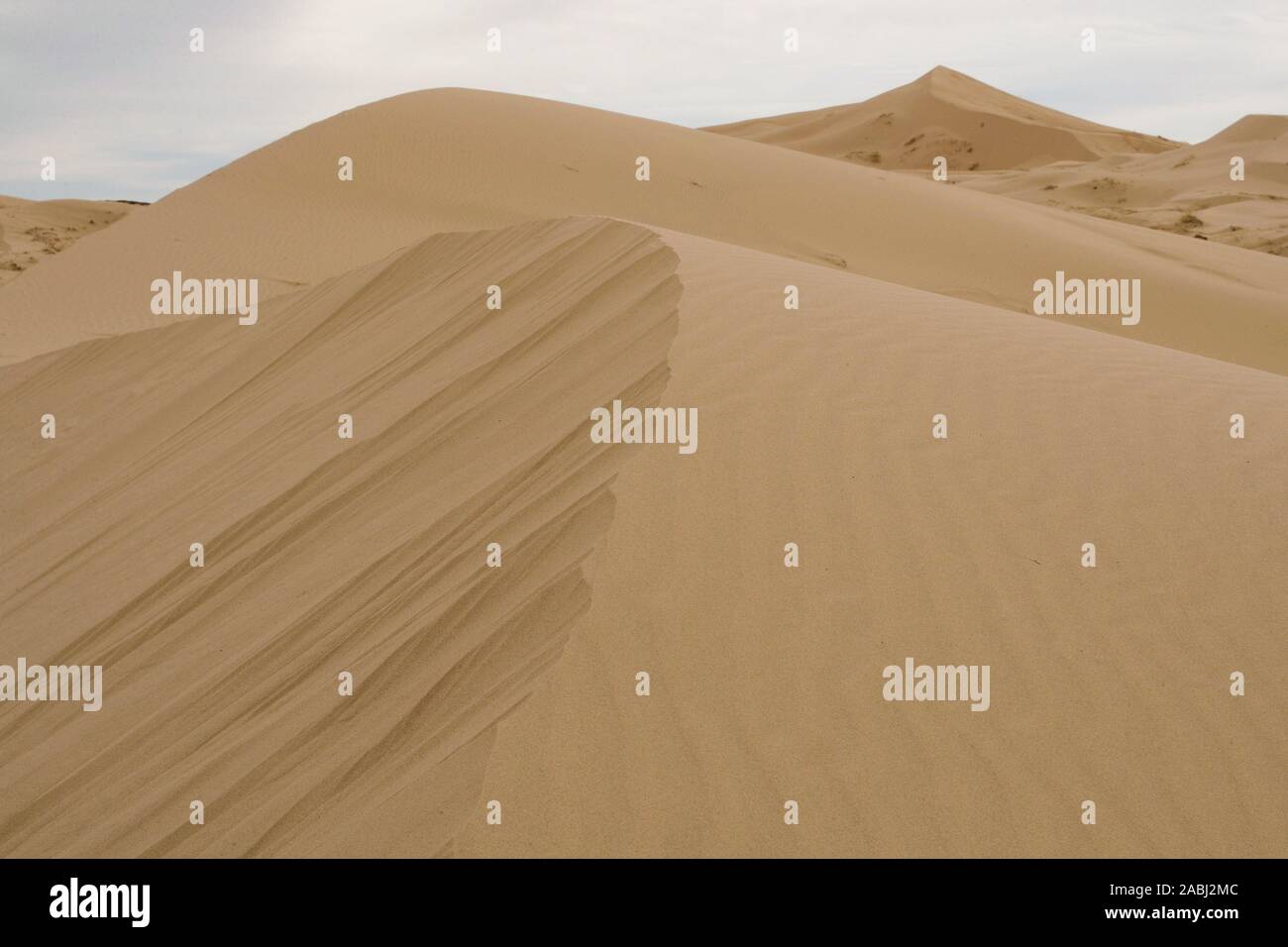 sand dunes of the Samalayuca desert, Chihuahua Mexico. 52 km south of ...