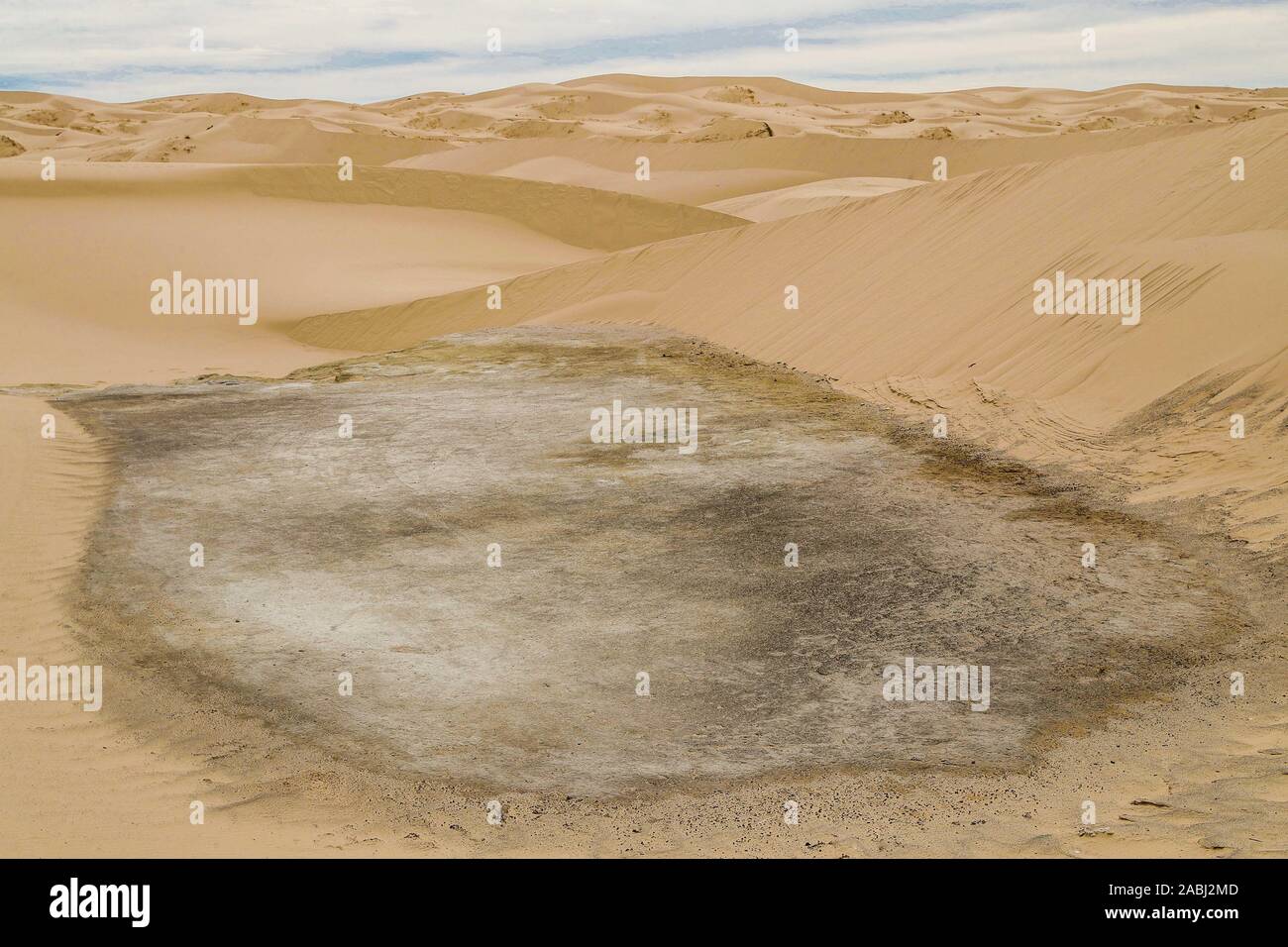 sand dunes of the Samalayuca desert, Chihuahua Mexico. 52 km south of ...