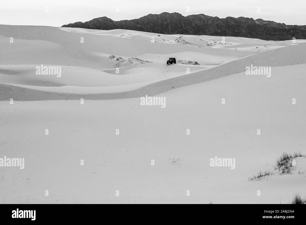 sand dunes of the Samalayuca desert, Chihuahua Mexico. 52 km south of ...
