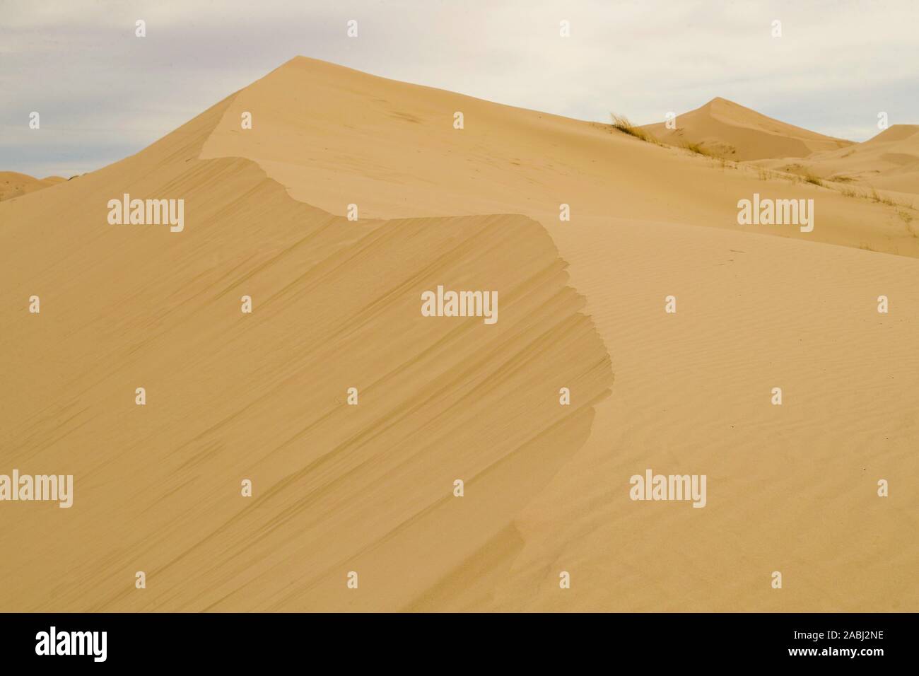 sand dunes of the Samalayuca desert, Chihuahua Mexico. 52 km south of ...