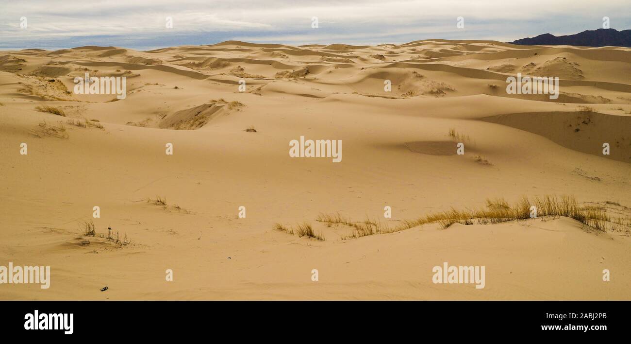 sand dunes of the Samalayuca desert, Chihuahua Mexico. 52 km south of ...