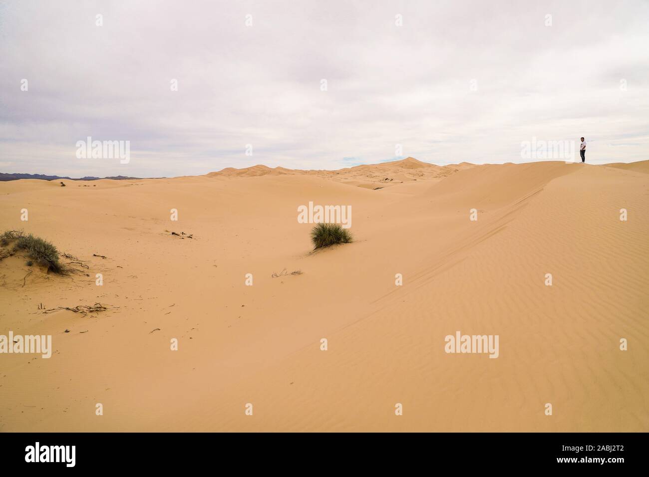 sand dunes of the Samalayuca desert, Chihuahua Mexico. 52 km south of ...