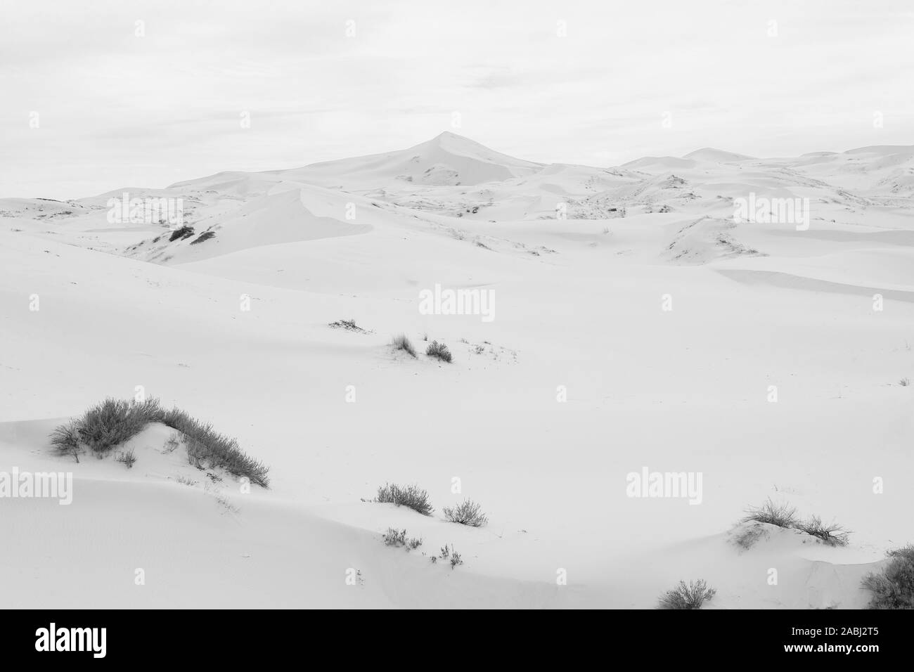 sand dunes of the Samalayuca desert, Chihuahua Mexico. 52 km south of ...