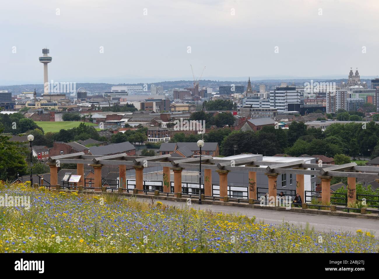 View of Liverpool city from Everton park. Churches, tower, skyscraper ...