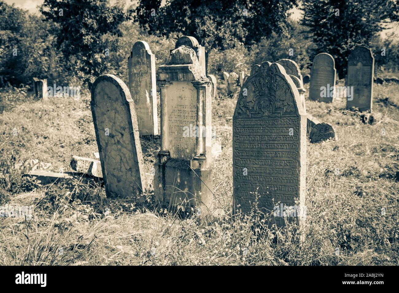 Old neglected Jewish cemetery in Eastern Slovakia. Europe Stock Photo ...