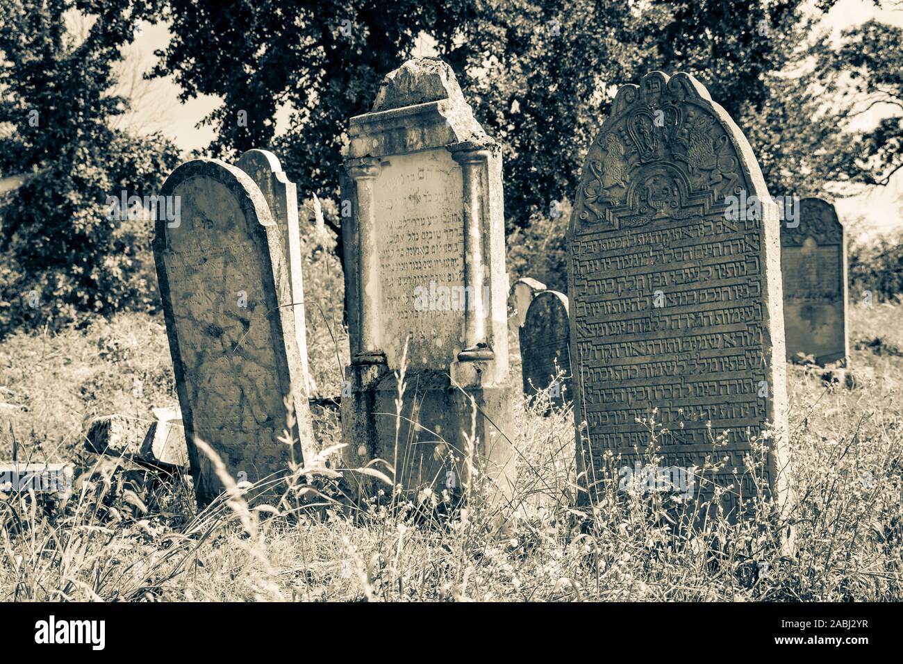 Old neglected Jewish cemetery in Eastern Slovakia. Europe Stock Photo ...