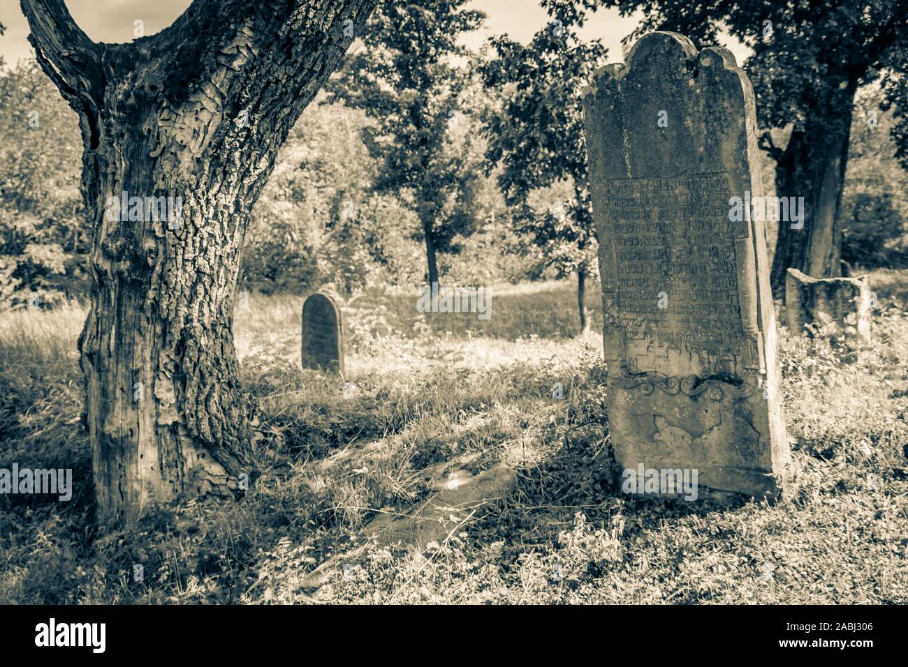 Old neglected Jewish cemetery in Eastern Slovakia. Europe Stock Photo ...