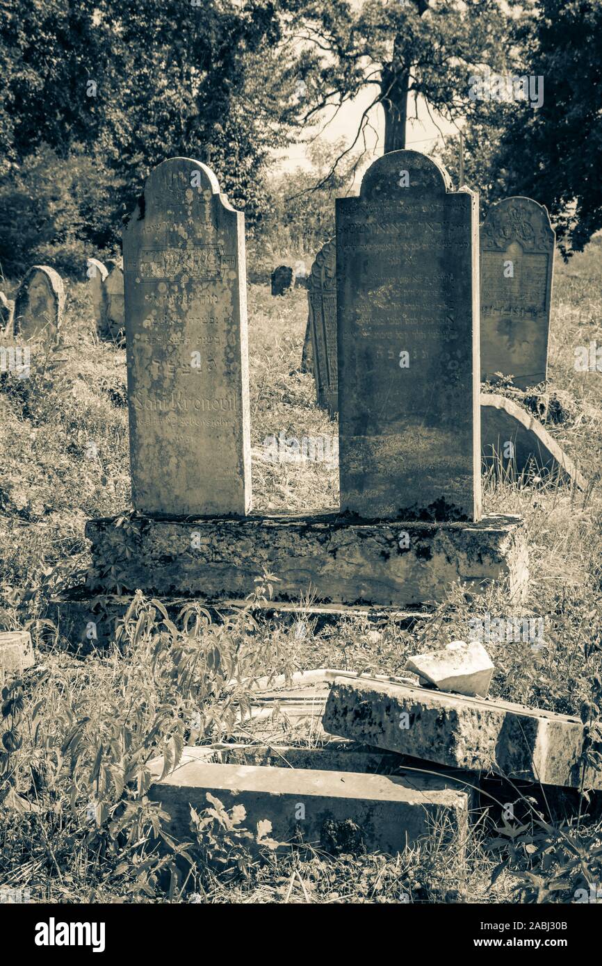 Old neglected Jewish cemetery in Eastern Slovakia. Europe Stock Photo ...
