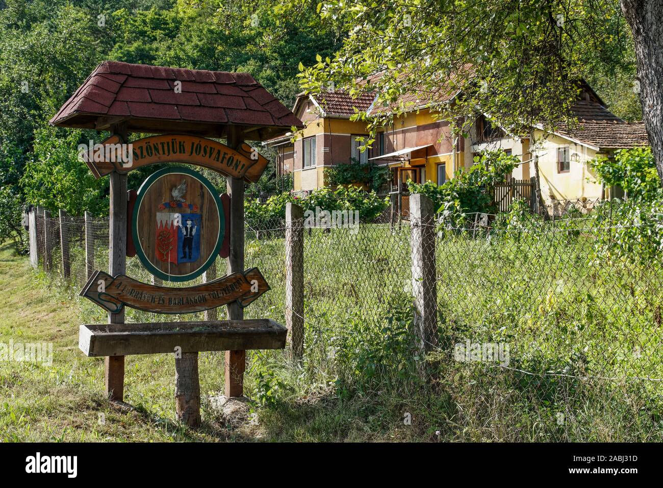 Coat of Arms. Old decorative information from wood about the Josvafo ...